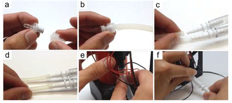 Step By Step Guide To Wire The Hardware With The Firmware Download Scientific Diagram
