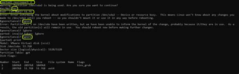 How To Resize A Root Partition In Ubuntu Linux GPT Dade2
