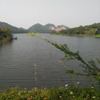中山金钟水库百度百科