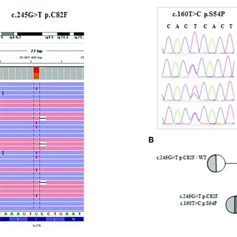 a sequence alignment of the patient s bam file on igv integrative