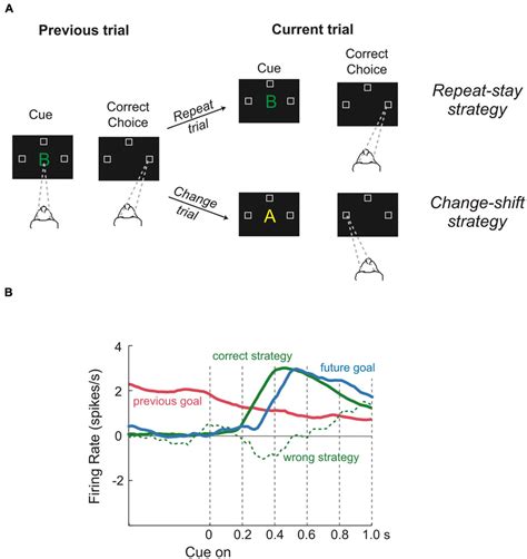 Role Of Dorsolateral Prefrontal Cortex During A Strategy Task” A Download Scientific