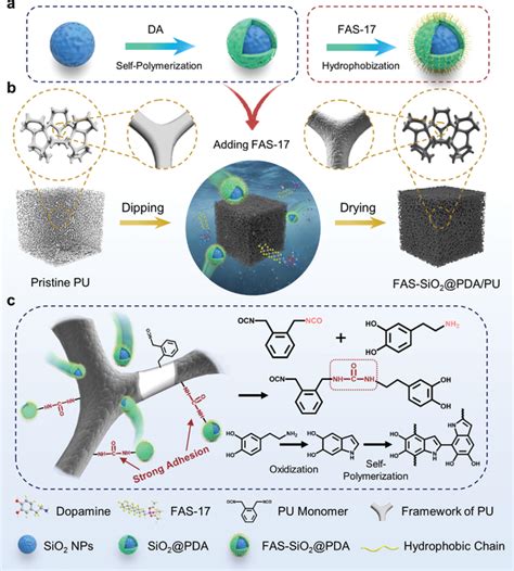 A Structural Diagram Of The Synthesis Of Sio2pda Core‐shell