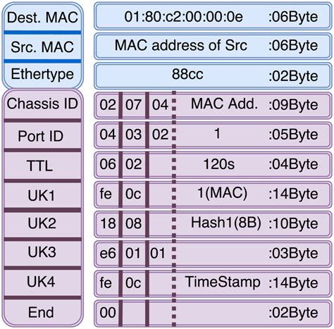 Floodlight Lldp Frame Structure Download Scientific Diagram