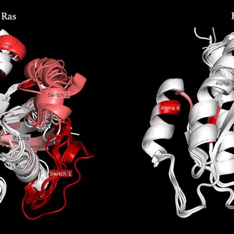 Pymol Rendering Of 10 Overlayed Examples From Both H Ras Left And Download Scientific Diagram