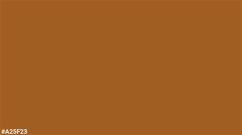 Pantone P 25 16 C | #A25F23 - Detailed Color Information and Usage