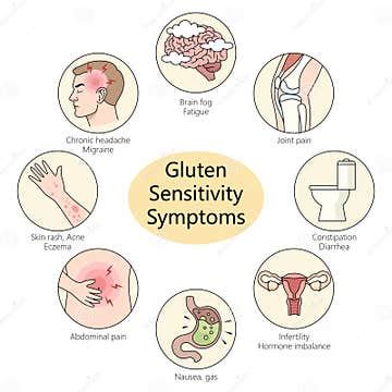 Gluten Sensitivity Symptoms Informative Diagram Stock Illustration