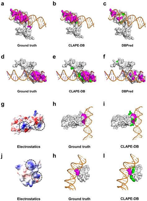 Figure From ProteinDNA Binding Sites Prediction Based On Pre Trained Protein Language Model