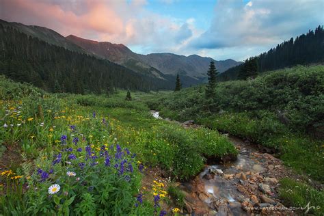 Summer Loveland Pass Colorado Nate Zeman Photography