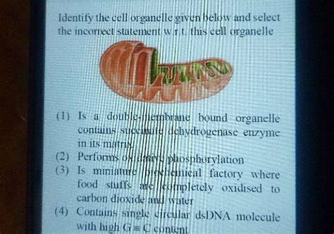Identify The Cell Organelle Given Below And Select The Incorrect Statemen