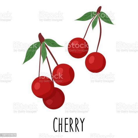 귀여운 만화 체리 디자인 엽서 그리기 티셔츠 프린트 디지털 디자인 0명에 대한 스톡 벡터 아트 및 기타 이미지 0명 T