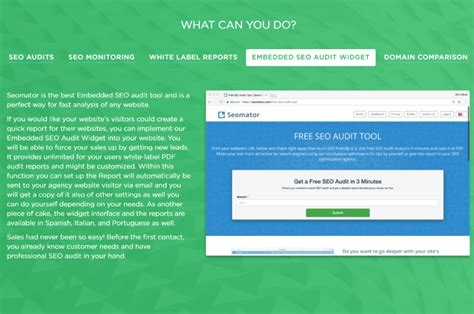 Crawler Seomator Twaino