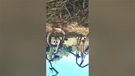 Cycle Attitude 😍 Youtube