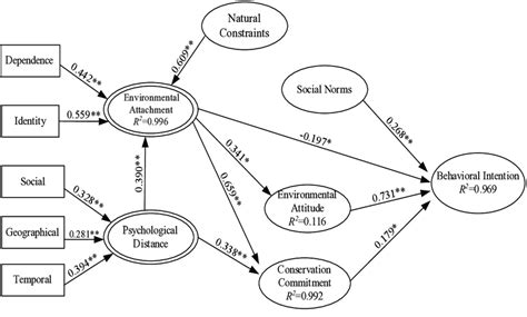 Path Model Diagrams