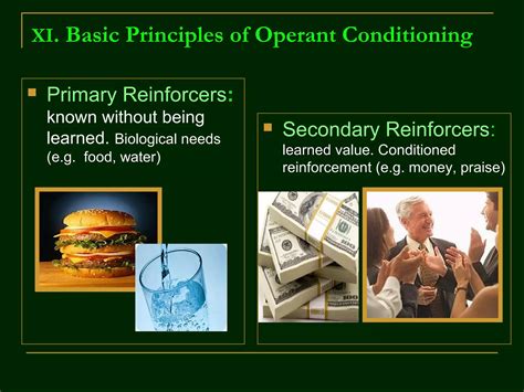B F Skinners Operant Conditioning Ppt