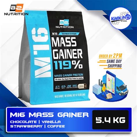 Bs Nutrition M16 Mass Gainer 54 Kg Mass Protein Gainer Halal