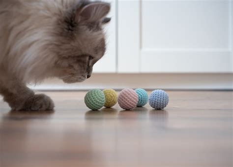 5 Catnip Balls Set Pastel Balls Catnip Cat Toy Set Of Cat Etsy