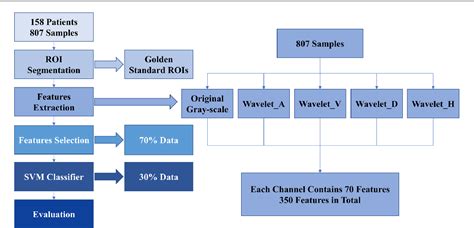 Figure 1 From White Matter Injury Detection Based On Preterm Infant