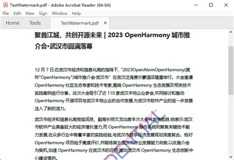 如何通过Python向PDF添加文本水印 个人文章 SegmentFault 思否