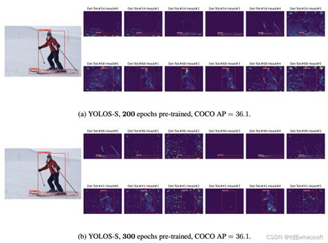 YOLOS CSDN博客