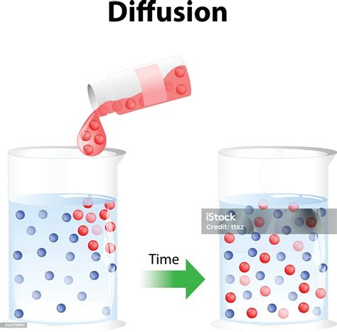 Diffusion Diagram