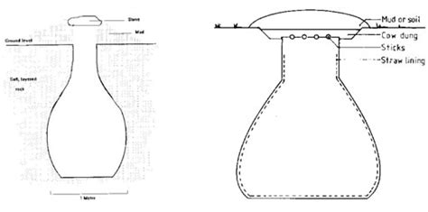 Seed Storage Structures