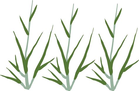 Green Wild Grass 47305153 Vector Art At Vecteezy