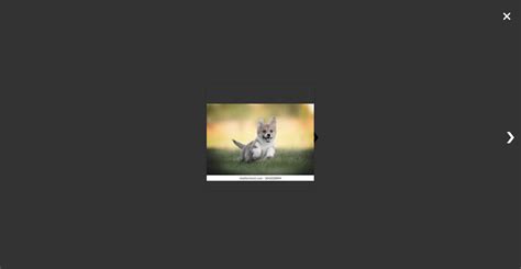 GitHub Oh Wonjune ImageViewer Wj
