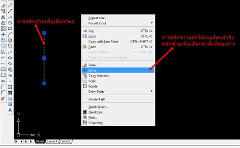 การใช้คำสั่งต่างๆ และการสื่อสารกับโปรแกรม