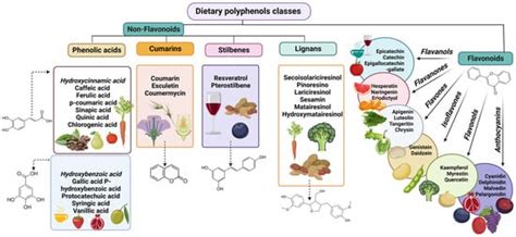 Polyphenols—ensured Accessibility From Food To The Human Metabolism By