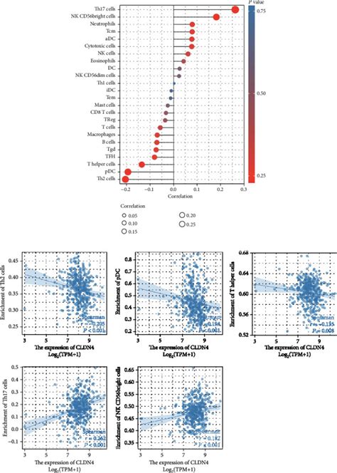 Cldn4 As A Novel Diagnostic And Prognostic Biomarker And Its