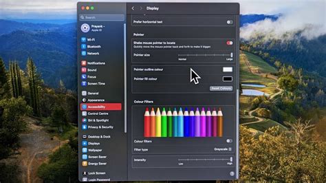 How To Make The Mouse Pointer Bigger In Macos