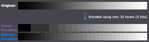 What Is Gamma Correction Perpetual Enigma