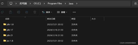 多个 Jdk 版本（java 8、java 17、java 21）下载和切换时注意事项下了java17和21如何用 Csdn博客