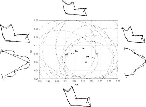 Figure 1 From Quantitative Analysis Of Human Mandibular Shape Using Three Dimensional Geometric