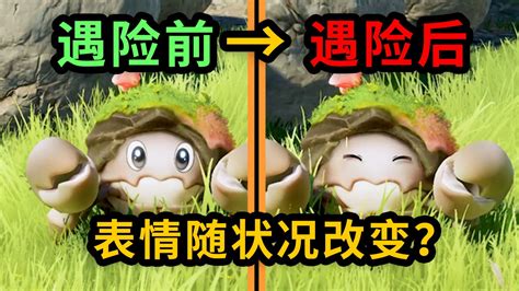 如果宝可梦游戏有这技术力，不敢想象会有多好玩 我是火爆猴 我是火爆猴 哔哩哔哩视频