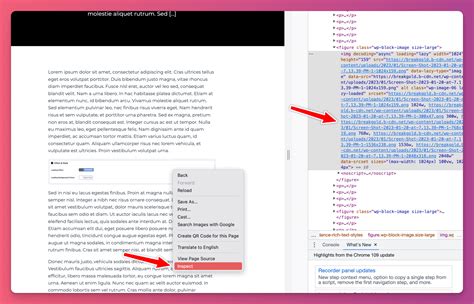 Installing A CDN With WordPress Breakdance Using Bunny Net Gold Penguin