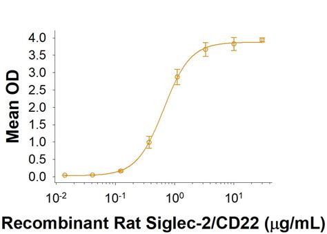 Recombinant Rat Siglec 2 Cd22 Fc Chimera Protein Cf 10572 Sl 050 Randd Systems