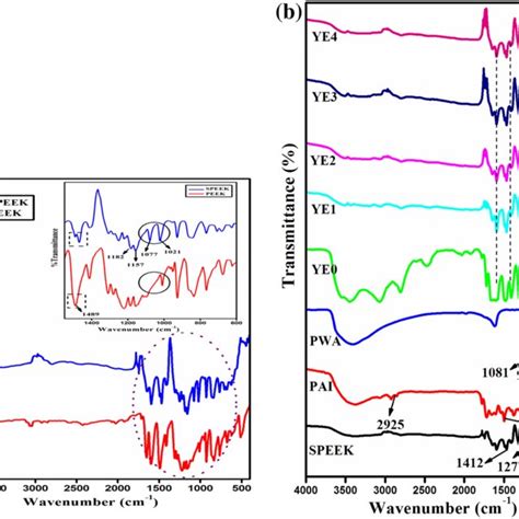Ftir Spectra Of A Pure Peek And Sulfonated Peek And B Pure Pwa Undoped Download Scientific