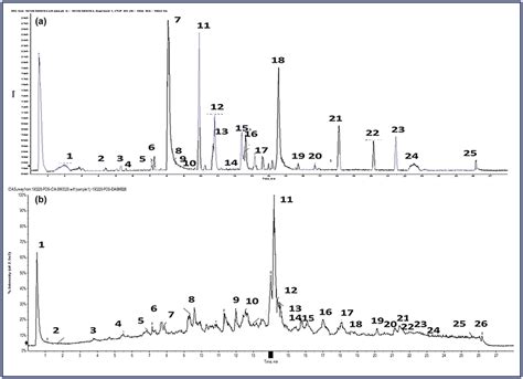 Hplc Ms Chromatogram Of Phaselous Vulgaris Extract Hplc Ms Chromatogram Download Scientific