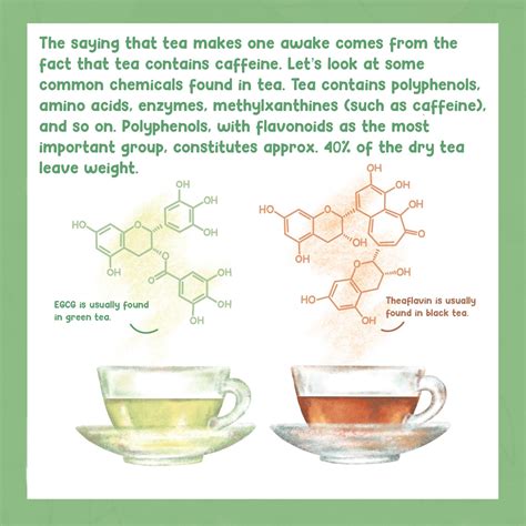 Polyphenols In Tea — Illustrated R Chemistry