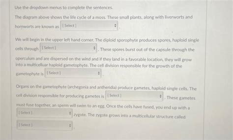 solved use the dropdown menus to complete the sentences the