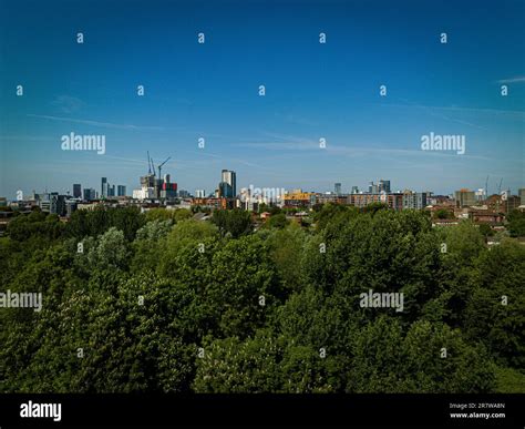 Above The Treeline Stock Photo Alamy