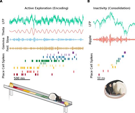 Figure 11 From Analysis And Application Of A Realtime Closed Loop Hippocampal Sharp Wave Ripple