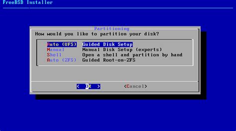 FreeBSD Installation Guide