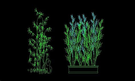 Bamboo Tree Plant Front View Elevation 2d Dwg Block For Autocad • Designscad