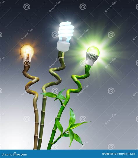 Concept Of Efficiency On Lighting Comparison Stock Photo Image Of Lamp Electric