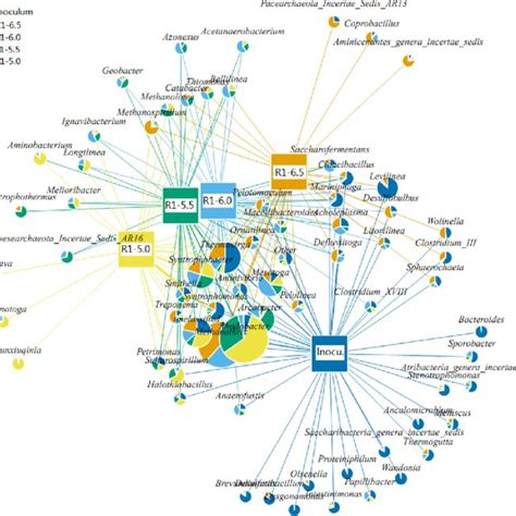 Microbial Network During The Acid Tolerant Acclimation Process Each