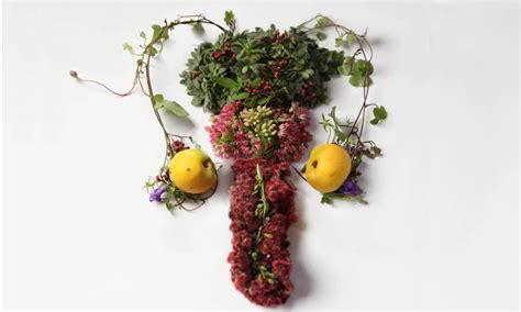 Percutaneous Nephrolithotomy Medex