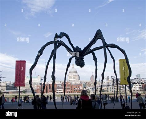 Louise Bourgeoiss Giant Spider Sculpture Maman With Stpauls
