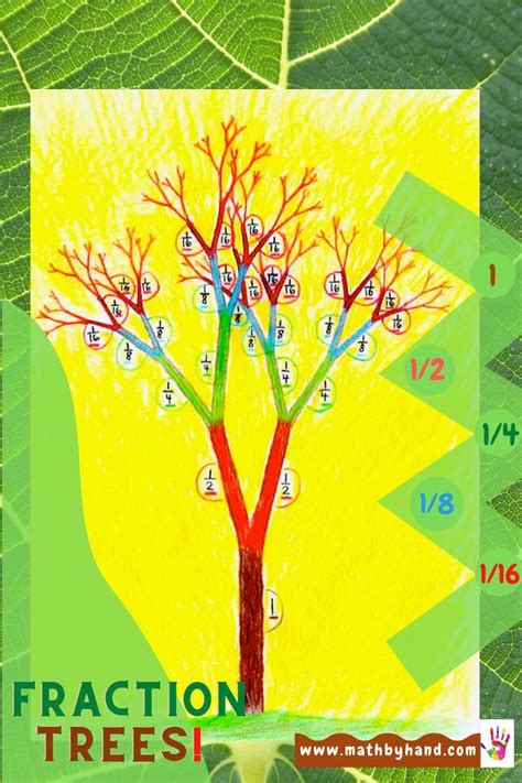 Understanding Fractions Exploring The Tree Of Numbers